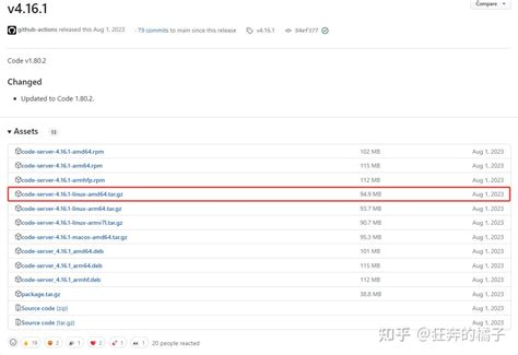 Code serverVSCode服务器版部署 知乎