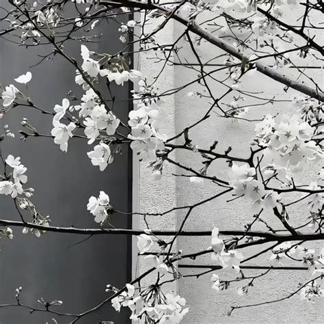 G E M 邓紫棋 唯一 Dj阿智版 宝藏音乐馆 Mp3免费在线下载播放 歌曲宝 找歌就用歌曲宝 Mp3音乐高品质在线免费下载