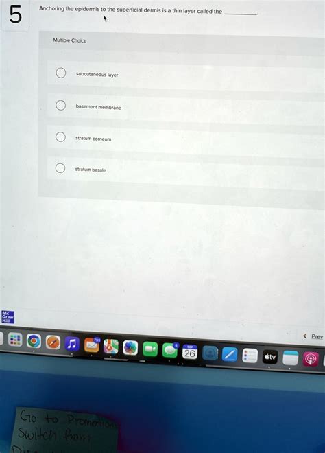 5 Anchoring The Epidermis To The Superficial Dermis Is A Thin Layer Called The Multiple Choice
