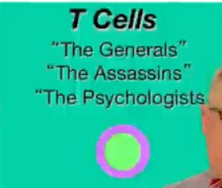 Chapter 1 Intro To The Immune System Plus Flashcards Quizlet