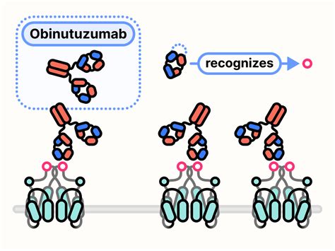 Obinutuzumab