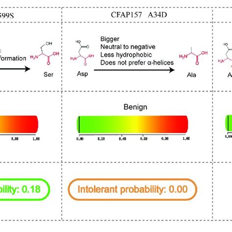 functional and structural predictions for three udt specific amino