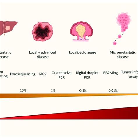 Techniques And Assays For Detection Of Ctdna The Sensitivity Of The