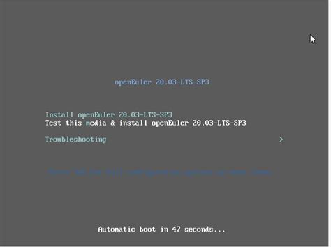 在openeuler上安装oracle 19c 墨天轮
