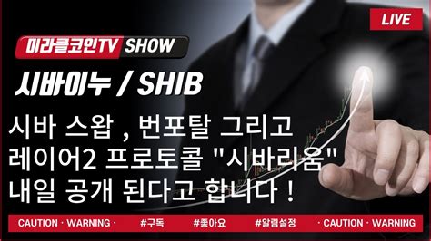 시바이누스왑 가장 눈여겨볼점은 번포탈과 무료에어드랍입니다 시바이누 공짜 에어드랍 받는방법 영상 확인하세요 Youtube