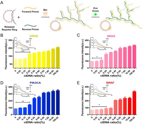 A Multiplexed Circulating Tumor Dna Detection Platform Engineered From