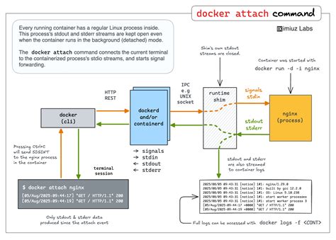 Docker Run Attach And Exec How They Work Under The Hood And Why It
