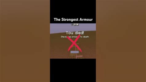 Minecraft Cactus Damage Challenge Every Armour Test Minecraft