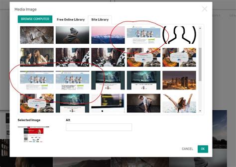 Problem Bug With Gallery Mobirise Forums Problem Bug With Gallery Mobirise Forums