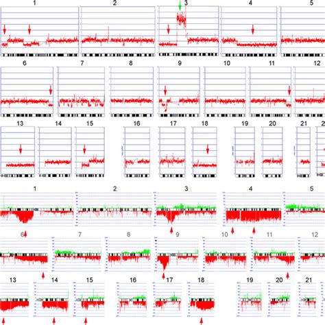 Dna Copy Number Analysis Profile Of The Entire Genome Of A