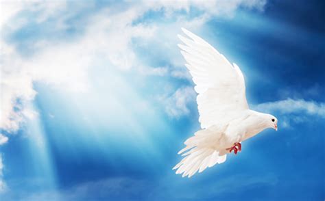 Alan Perrin Bowie News