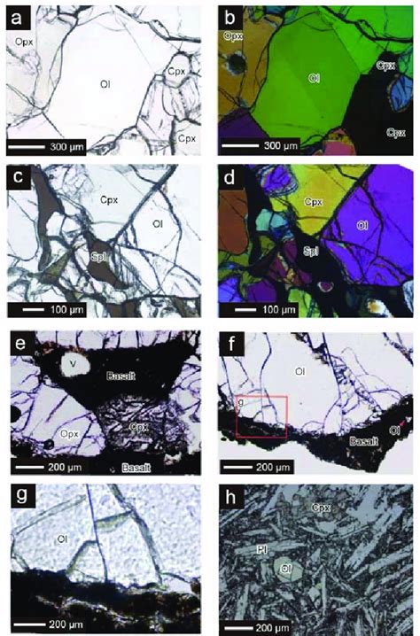 Photomicrographs Under A Polarizing Microscope One Polar And Crossed