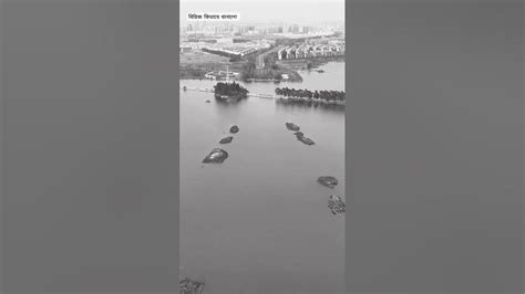 সুমন মিয়া 👍 ️ Youtube