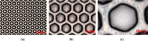 figure 4 from naked eye 3d display based on microlens array using