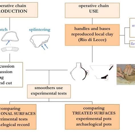 A Experimental Reproduction Flow Chart Download Scientific Diagram