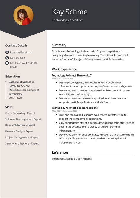 Technology Architect Cv Examples Template And 20 Tips