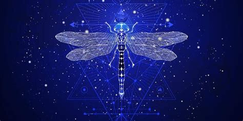 Dragonfly Symbolism And Spiritual Meanings Of A Dragonfly Spirit Animal