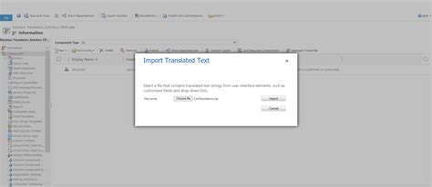 Exporting And Importing Translations In Dynamics 365 Crm Crm Crate