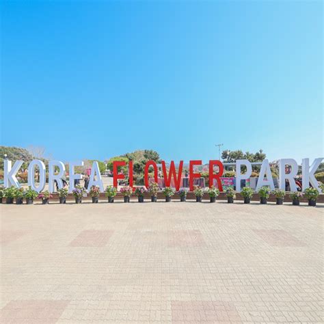 태안 코리아플라워파크의 사계절 축제 튤립꽃 수국꽃 가을꽃 박람회 네이버 블로그