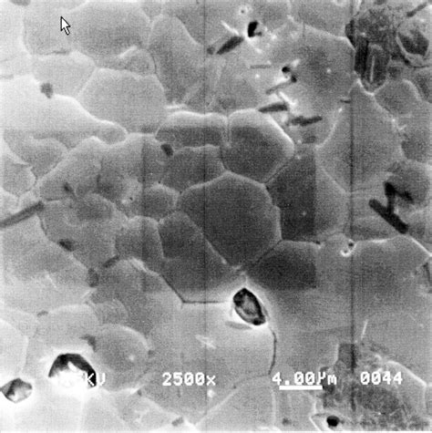 Scanning Electron Microscope Sem Micrograph Of Thick Film Surfaces Download Scientific