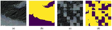 Improvements In Forest Segmentation Accuracy Using A New Deep Learning