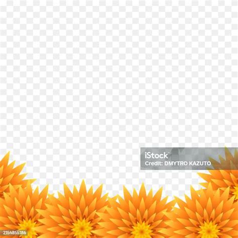 꽃 테두리입니다 벡터 일러스트 레이 션은 투명 한 배경에 고립되어 있습니다 0명에 대한 스톡 벡터 아트 및 기타 이미지 0명 3월 3차원 형태 Istock