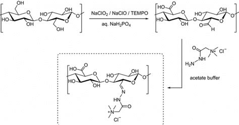 Synthesis Of Zwitterionic Beads Download Scientific Diagram