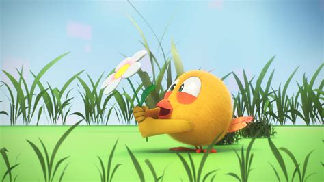 😍 Look A That Pretty Flower 🌸 Flower 😍 Look A That Pretty Flower 🌸 Chicky Poyo Bekky