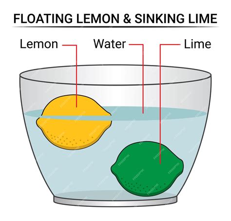 premium vector floating lemon and sinking lime science experiment