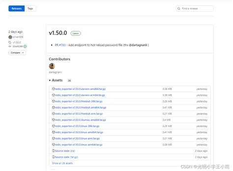 使用redisexporter监控redisredis Exporter Csdn博客 使用redisexporter监控redisredis Exporter Csdn博客