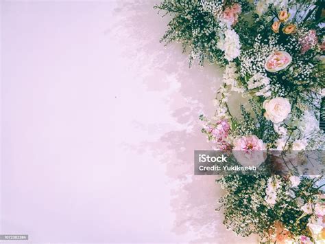 식물 꽃 섬세 한 장미와 피에 난초 꽃 축제 배경 파스텔 및 부드러운 꽃다발 꽃 카드 발렌타인과 경작 개념을 사랑 해요 꽃