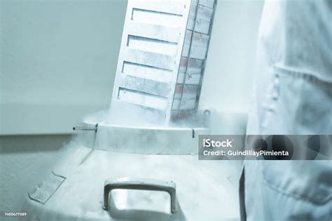 생명 과학 실험실의 액체 질소 극저온 탱크 내부에 세포가있는 랙 실험실 코트에서 프로페셔널 조작 저온 생물학에 대한 스톡 사진 및 기타 이미지 Istock