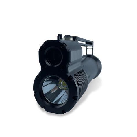 딥라이트 With 엘라이트