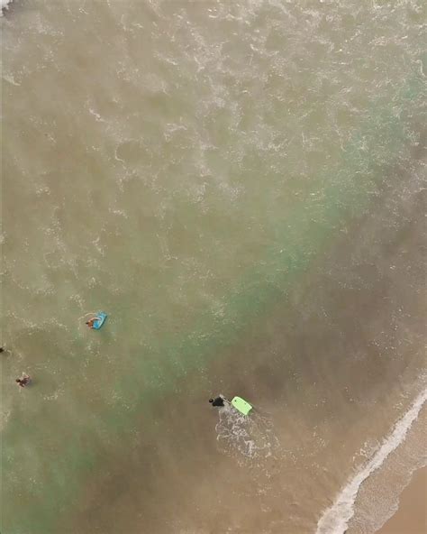 New Object Detection Dataset By Deneme