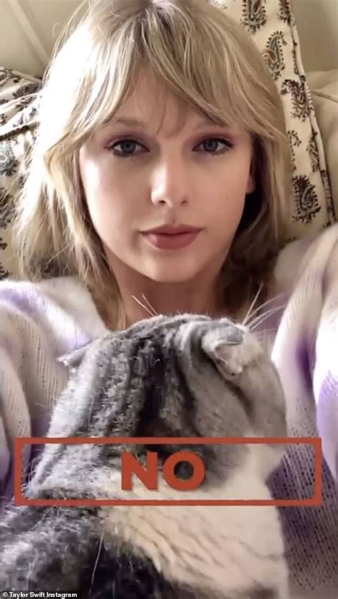 Taylor Swift Celebrates Success Of Fearless Taylor S Version And Gives An Update On Cat