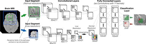 multi scale 3d cnn with two convolutional pathways the kernels of the
