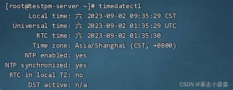 Linux查看时区，修改时区，查看时间，修i该时间，同步时间的基本命令查看服务器时区 Csdn博客