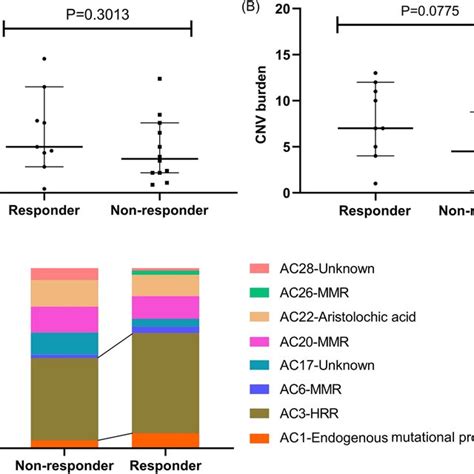 The Relationship Between Genomic Features And Chemotherapy Response Download Scientific