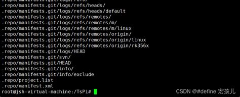 基于立创泰山派开发板的linux学习——环境搭建 Csdn博客