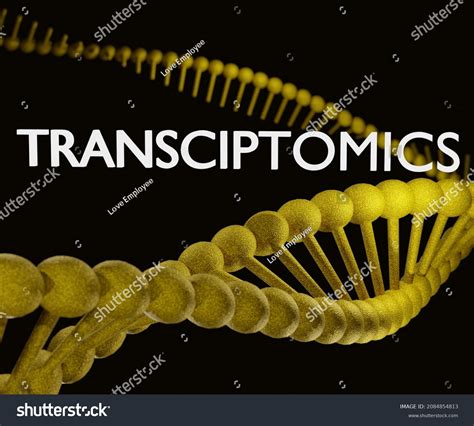 Transcriptomics Rna Dna 3d Rendering Stock Illustration 2084854813