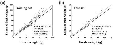 Development Of Lettuce Growth Monitoring Model Based On Three Dimensional Reconstruction Technology