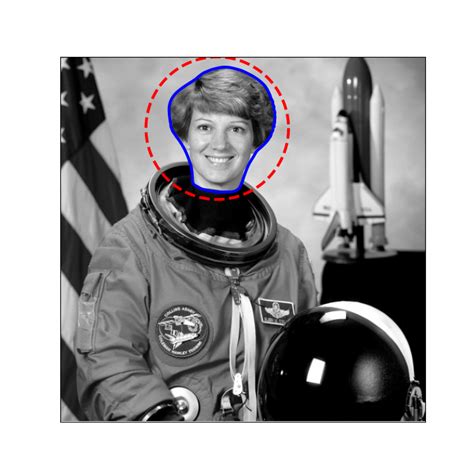 主动轮廓模型 — Skimage 0 24 0 文档 Scikit Image 中文