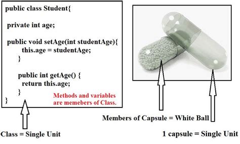 Learn About Encapsulation In Java Oop Mulinti Prabhakar Posted On The