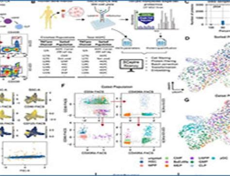 High Resolution Transcriptome Analysis With Long Read Rna Sequencing