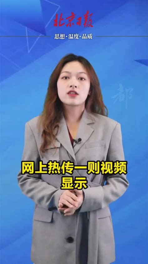 新闻我来说｜新白菜剁碎凑厨余，是形式主义作祟 手机新浪网