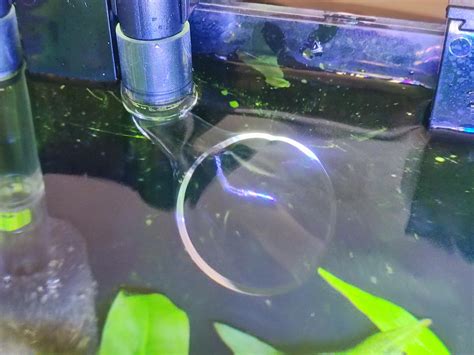 First Time With A Lily Pipe Outflow Is It Supposed To Be This Close To