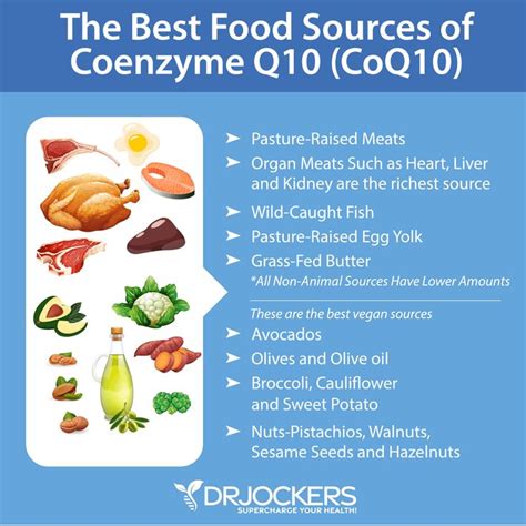 The Extensive Benefits Of Coq10 Foods With Coq10 Foods High In Coq10