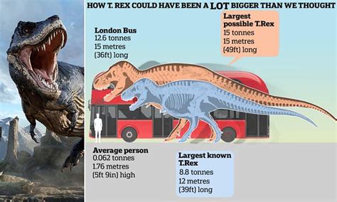 Tyrannosaurus Size
