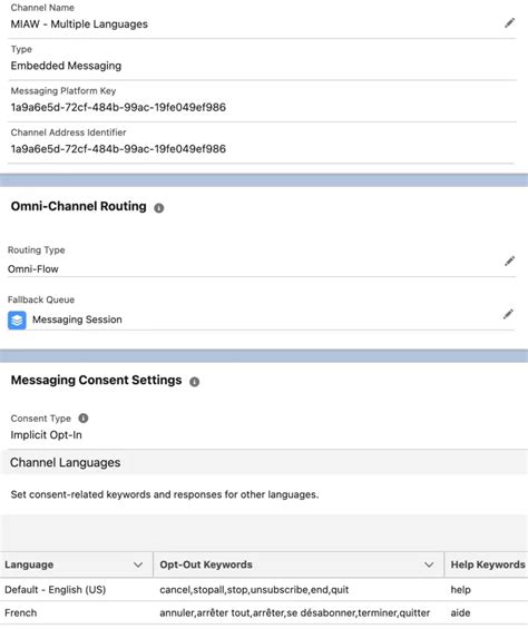 Salesforce Messaging For In App And Web Translation Infallibletechie