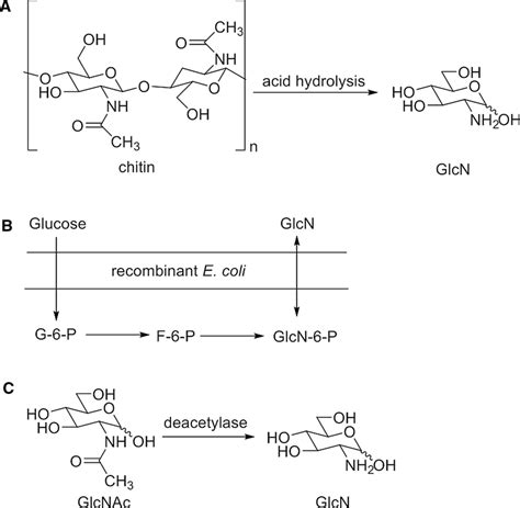Hydrolysis Of Acetyl Phosphate